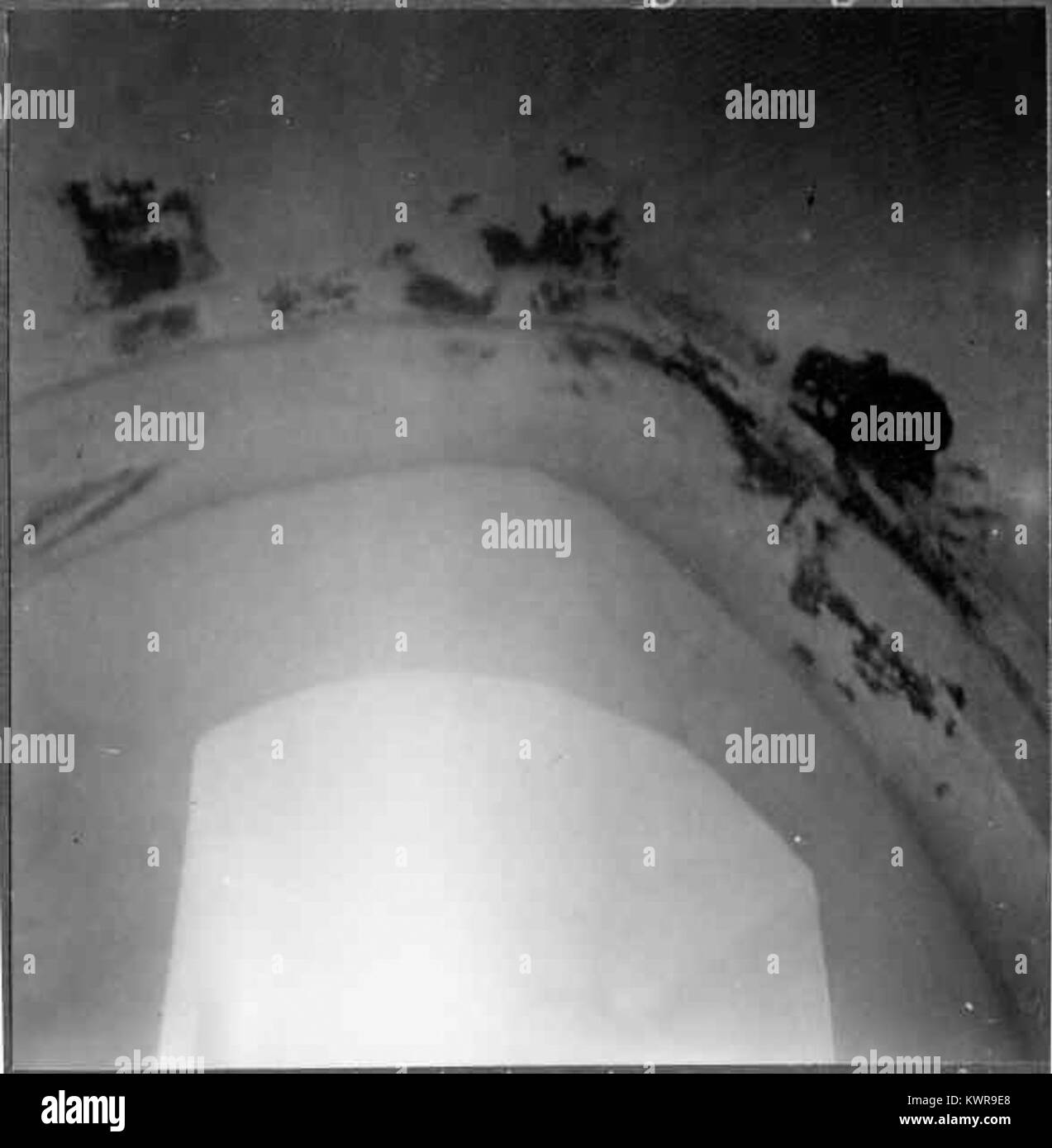 Ostra karaby hi-res stock photography and images - Alamy