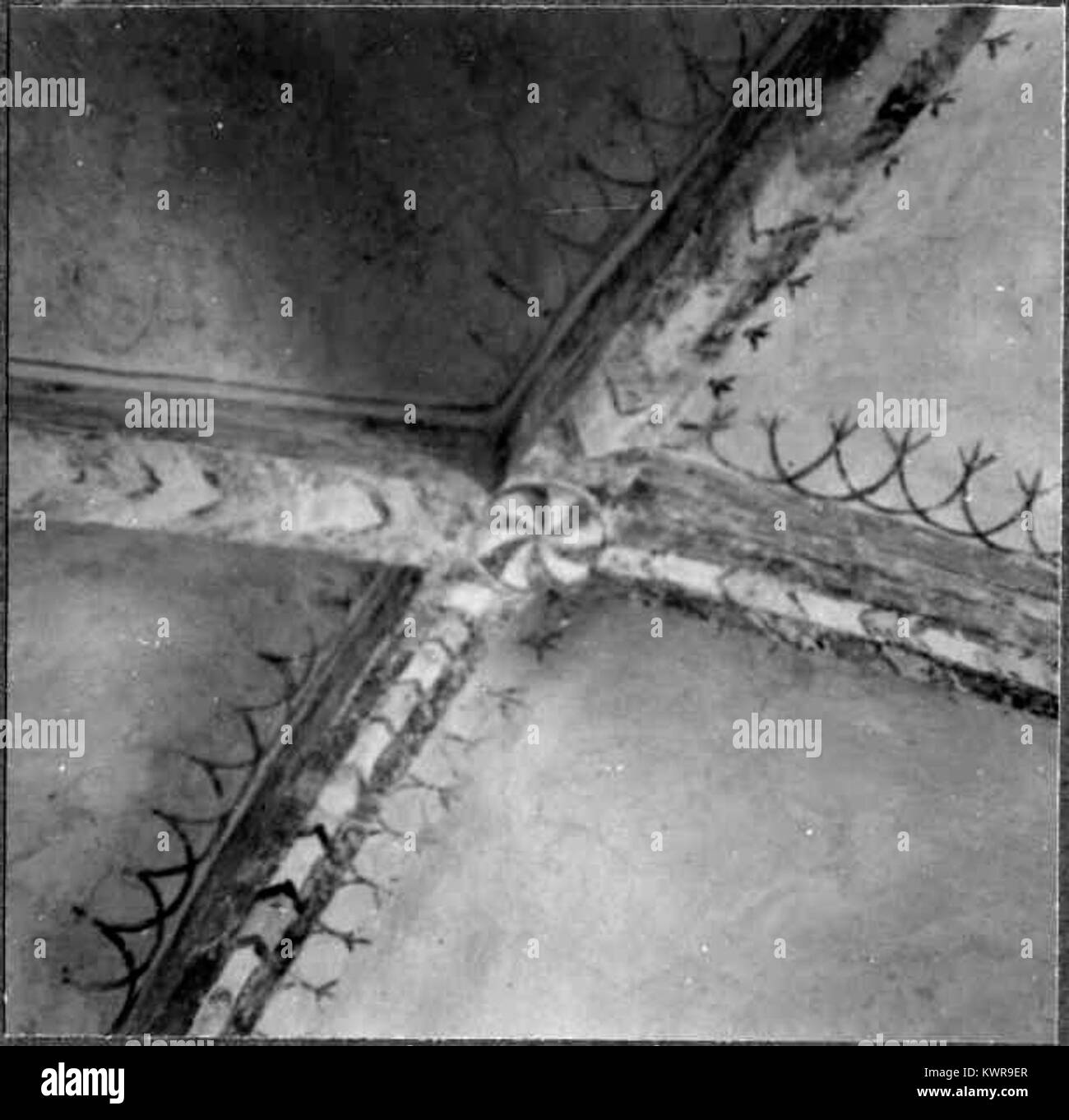 Ostra karaby hi-res stock photography and images - Alamy