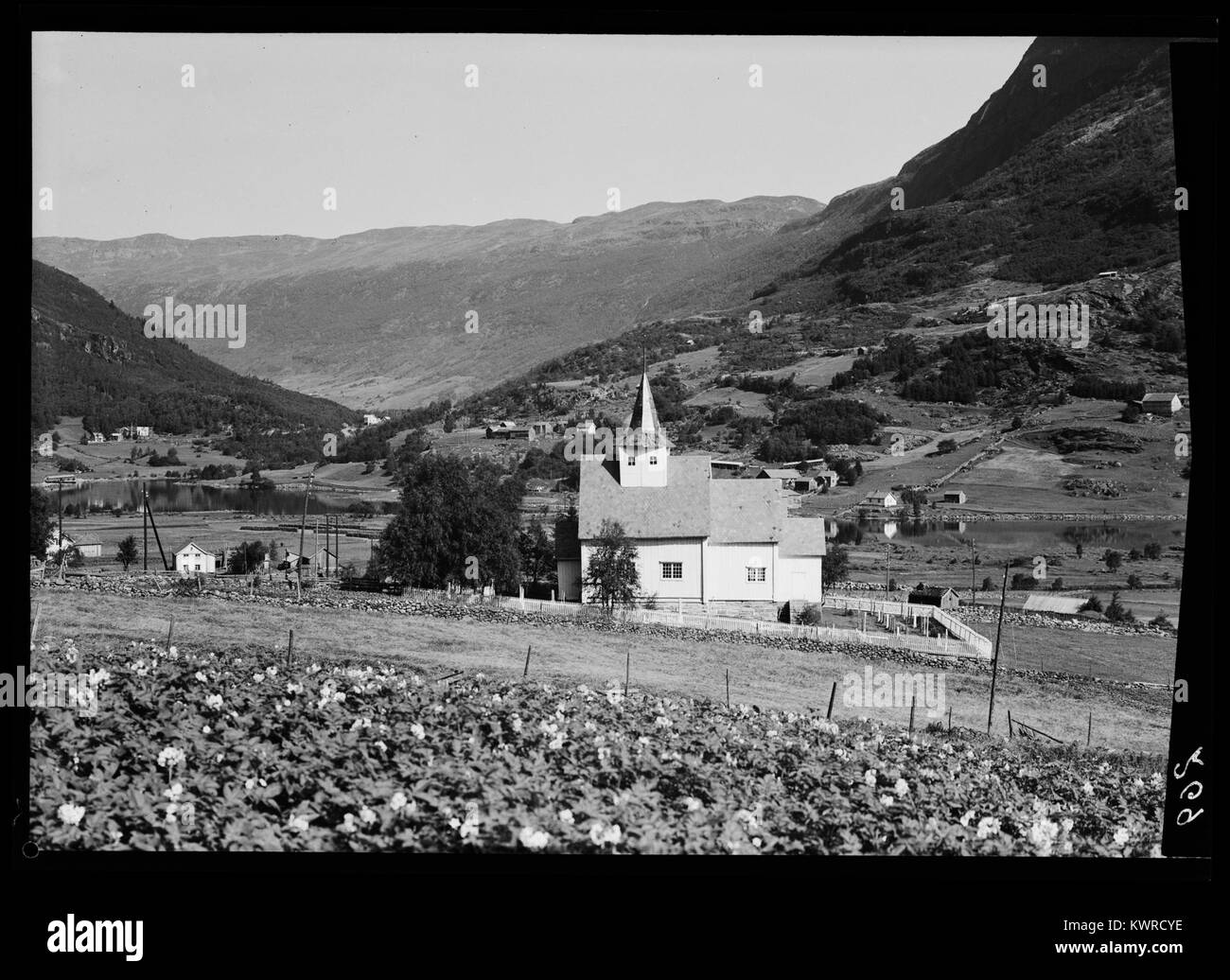 Wide valley mountains covered forest Black and White Stock Photos ...