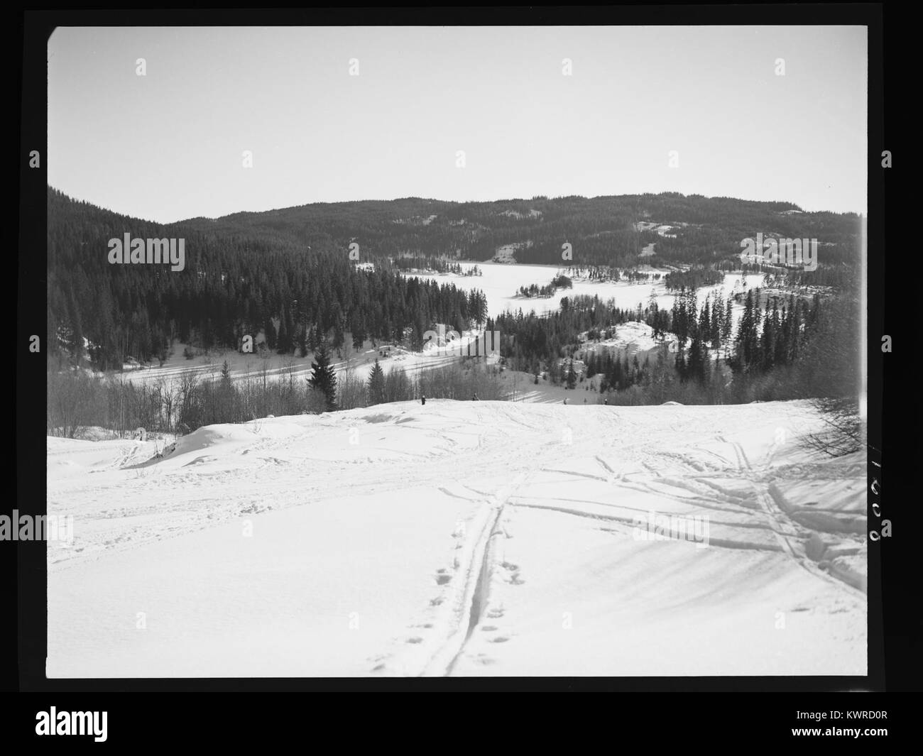 Surrounded lush Black and White Stock Photos & Images - Alamy
