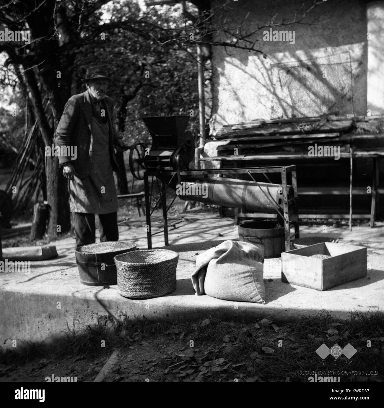 Clean wheat Black and White Stock Photos & Images - Alamy