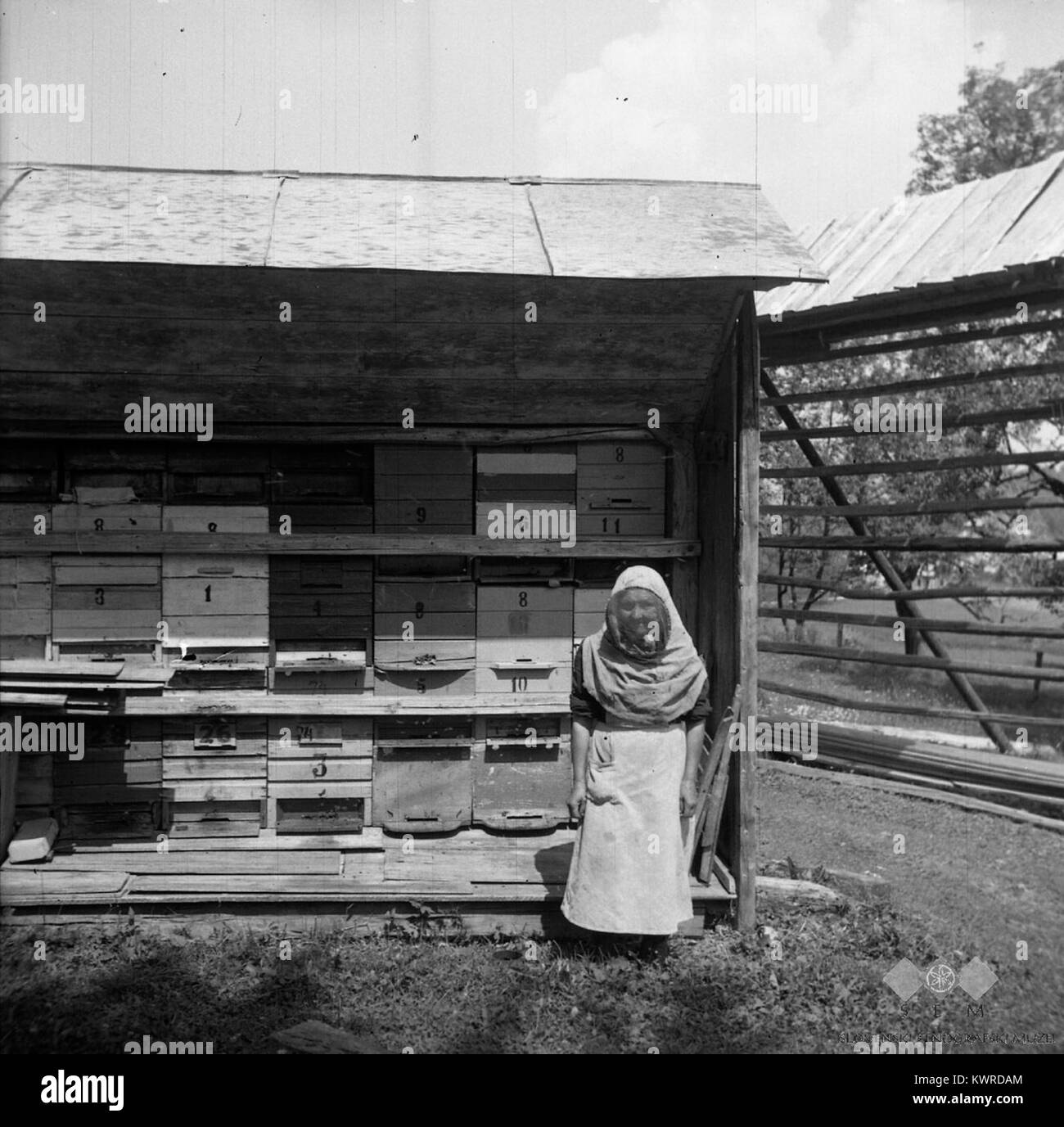 Historical beekeeper Black and White Stock Photos & Images - Alamy