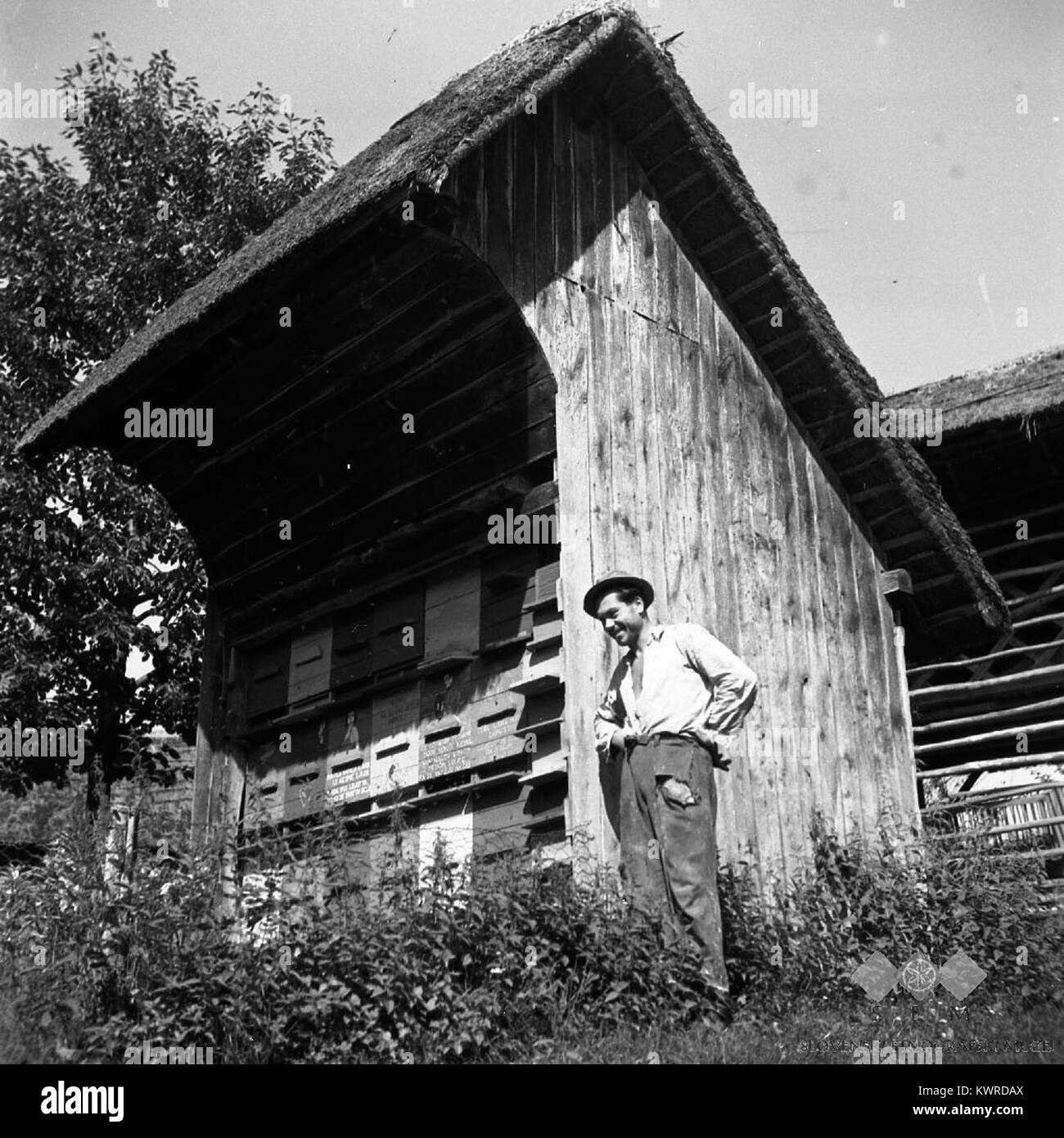 A 1956 photograph of a beekeeper and beekeeping establishment in ...