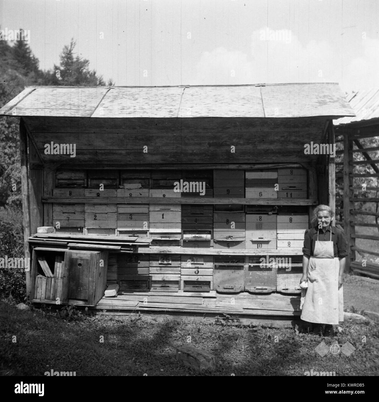 This photograph from Lome in 1959 shows a beekeeper in a traditional ...