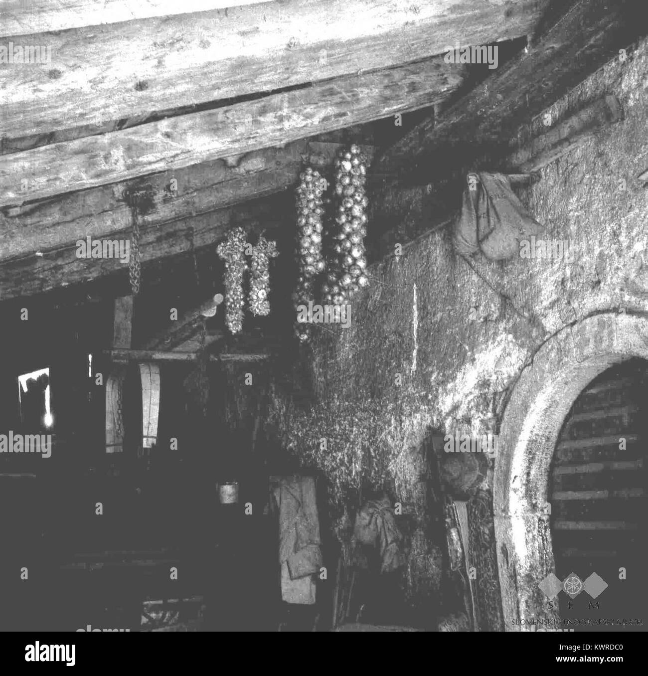 Vintage family photo 1958 hi-res stock photography and images - Alamy