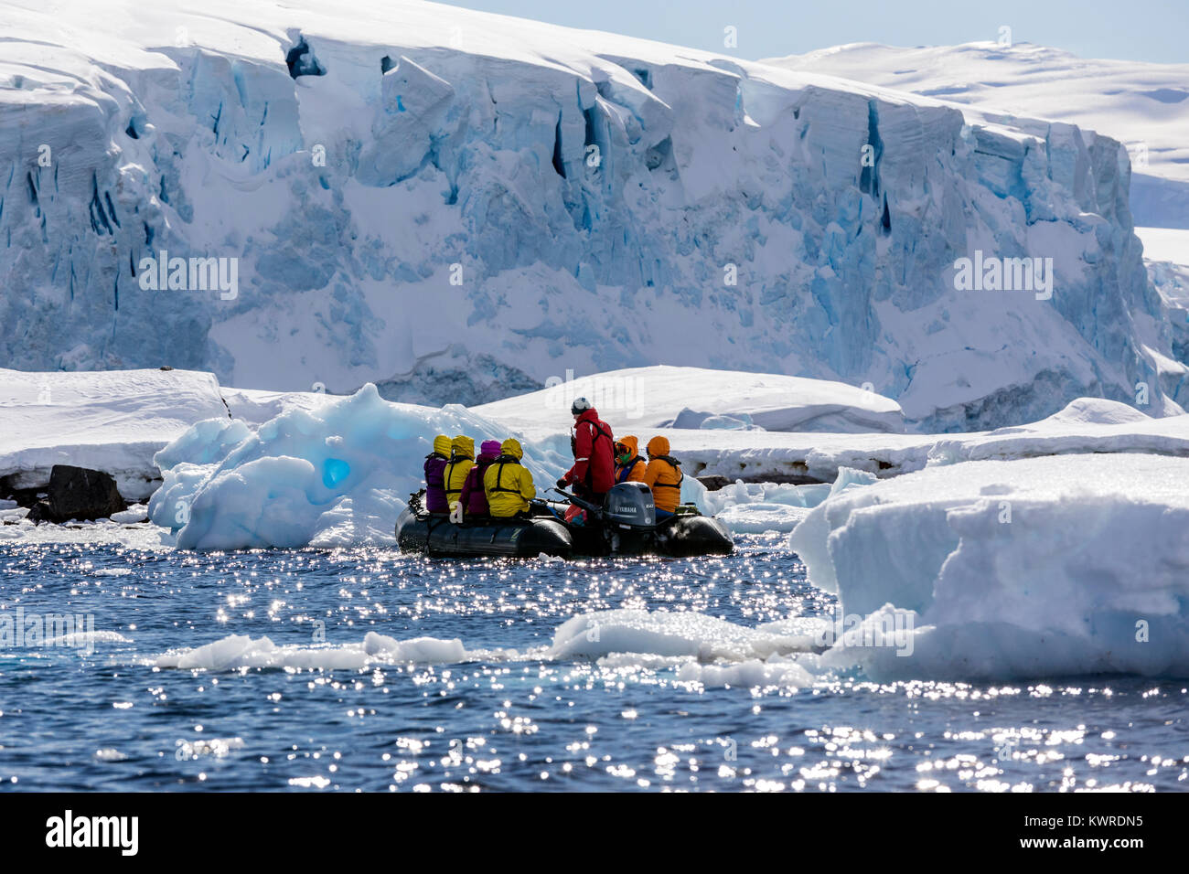 Large inflatable Zodiac boats shuttle alpine mountaineering skiers to ...