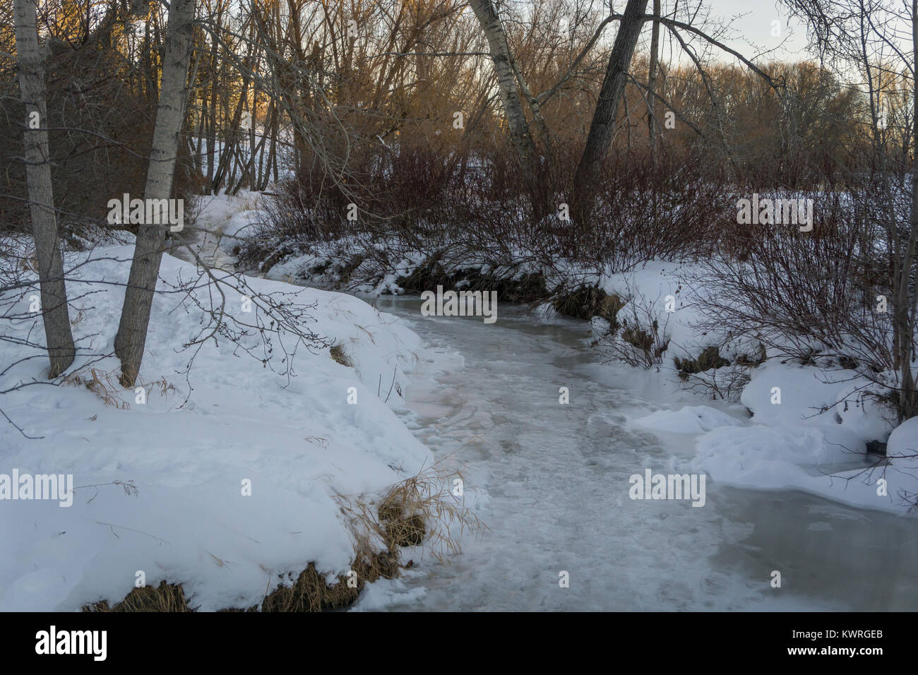 Calgary confederation park hi-res stock photography and images - Alamy