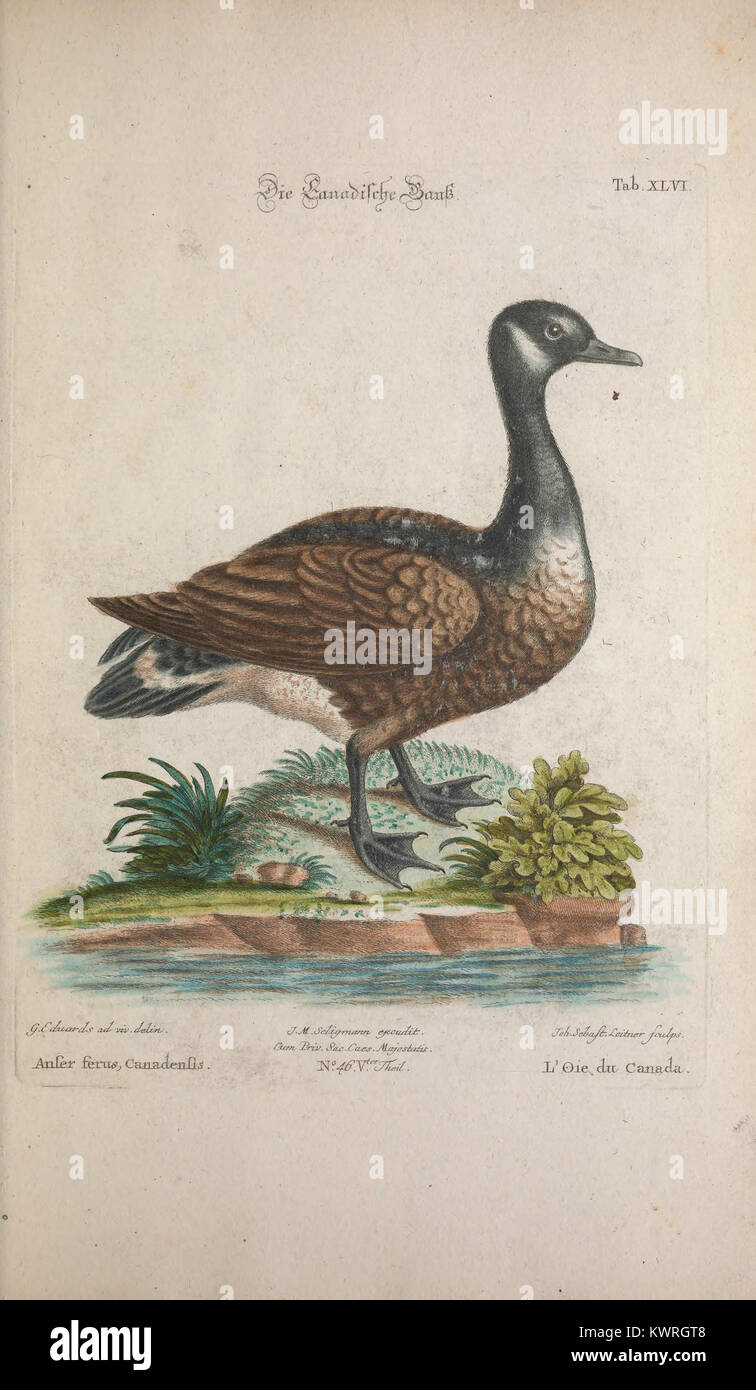 A scientific illustration from a collection of various foreign and ...