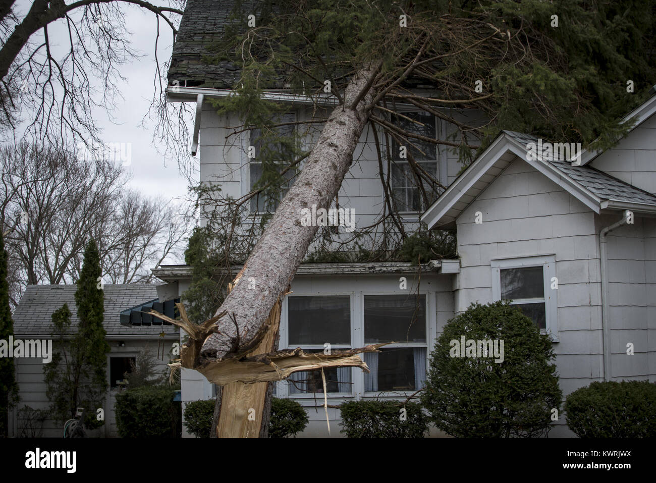 Ottawa, Iowa, USA. 1st Mar, 2017. A tree is seen cracked nearly all the ...