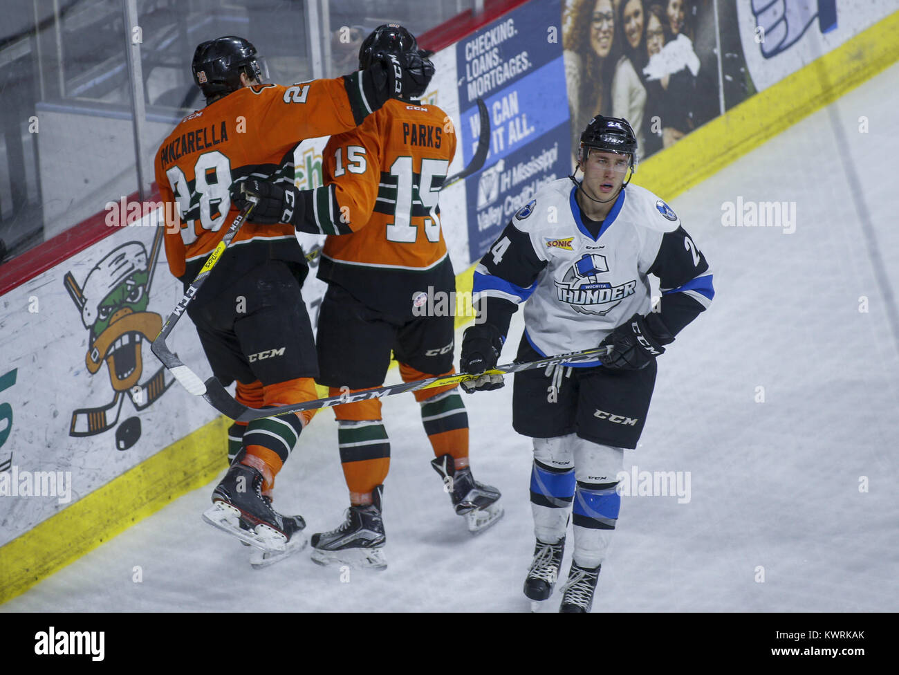 Moline, Iowa, USA. 26th Feb, 2017. Mallards teammates Andrew Panzarella ...