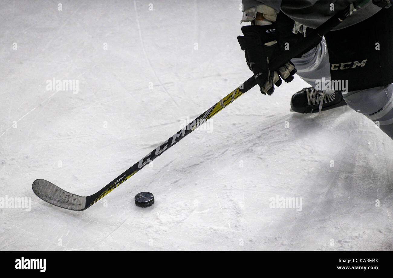 Moline, Iowa, USA. 24th Jan, 2017. Mallards forward Nolan LaPorte (20 ...