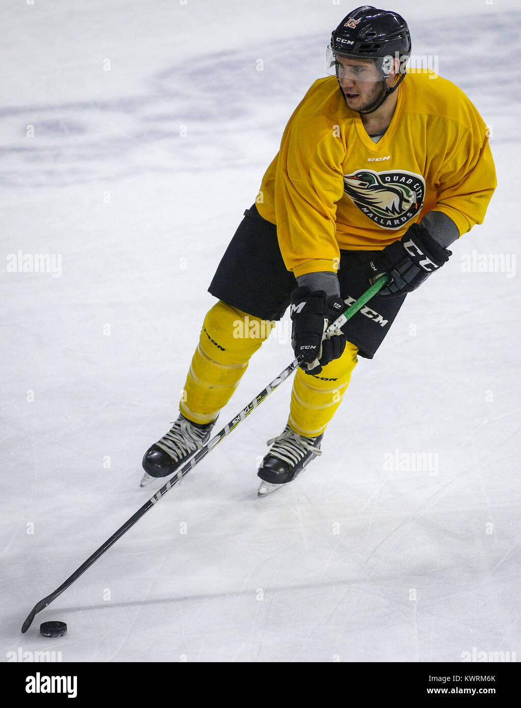 Moline, Iowa, USA. 24th Jan, 2017. Mallards forward Chris Francis (12 ...