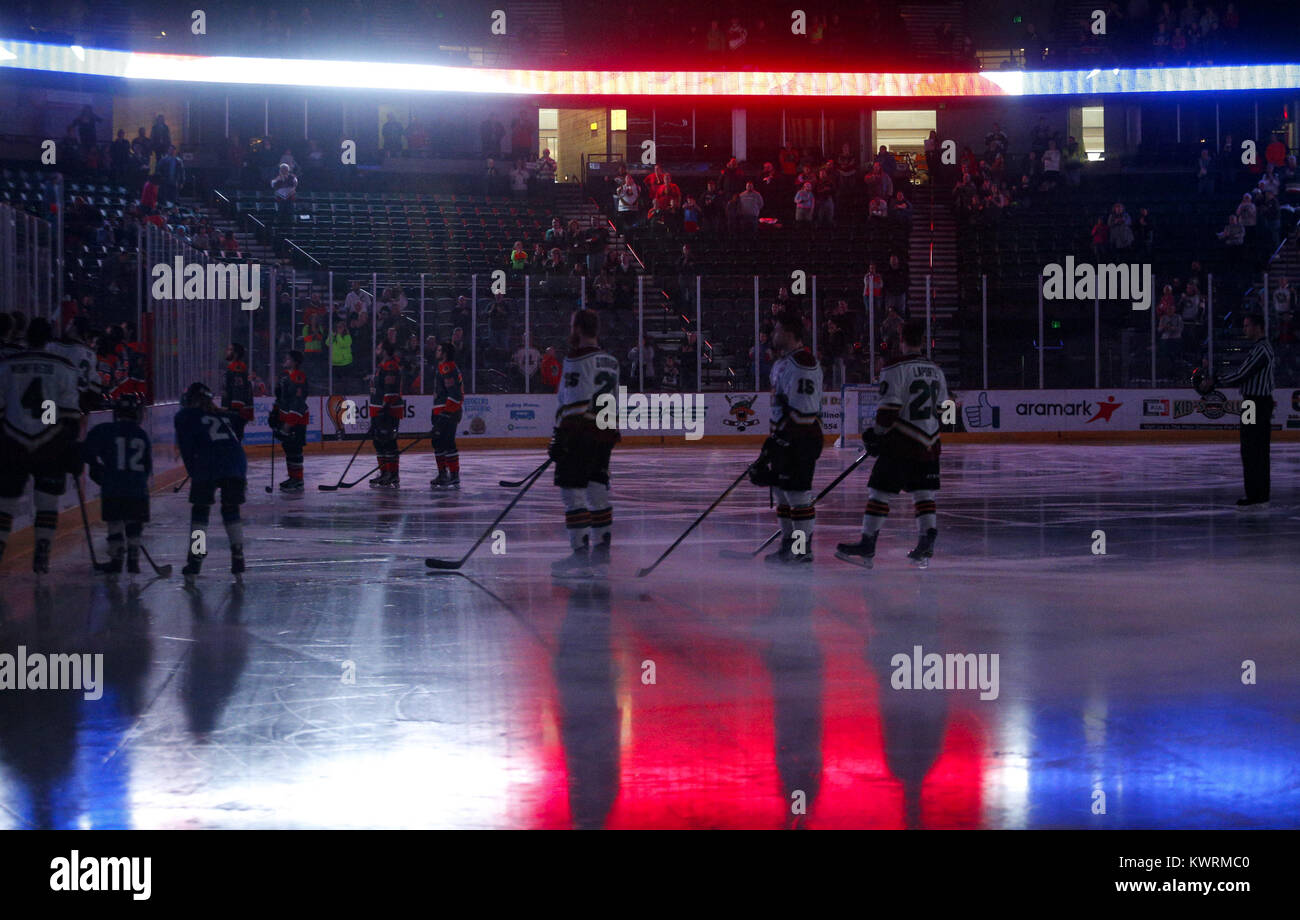 Moline, Iowa, USA. 16th Jan, 2017. Mallards teammates Alex Gudbranson ...