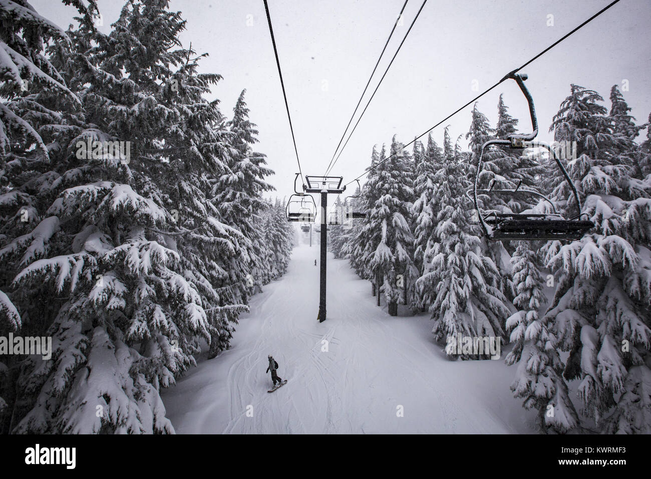 Timberline ski resort hi-res stock photography and images - Alamy
