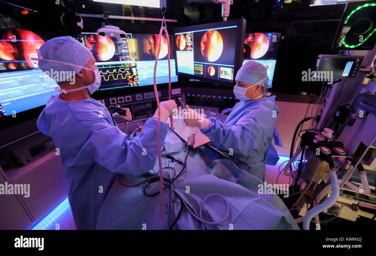 Professor Gero Strauss (L) performs a paranasal sinus surgery with the ...