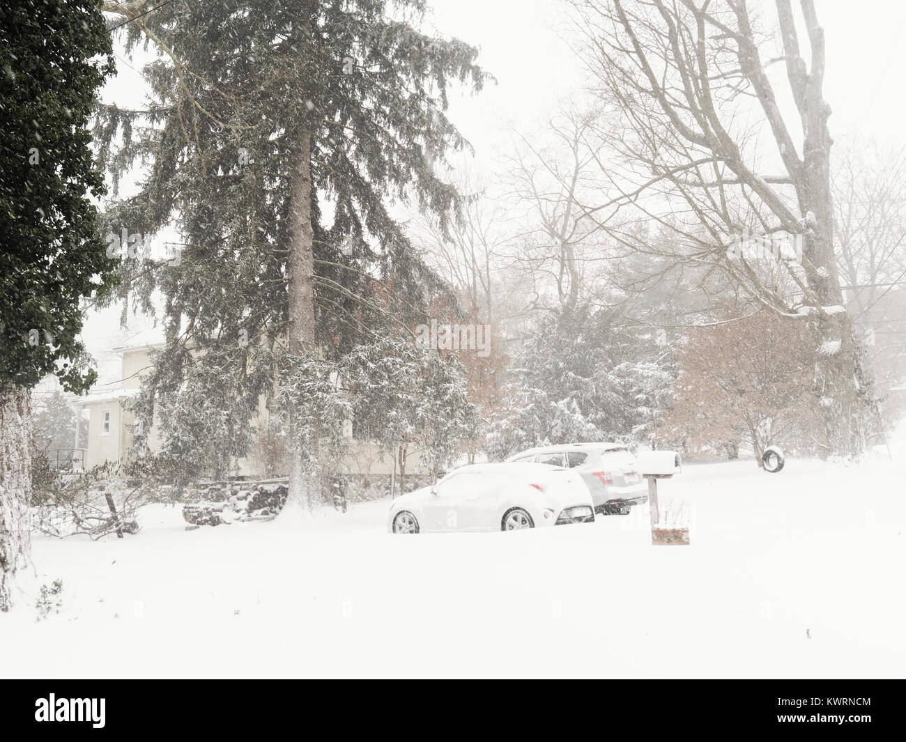 Snow snow storm hi-res stock photography and images - Alamy