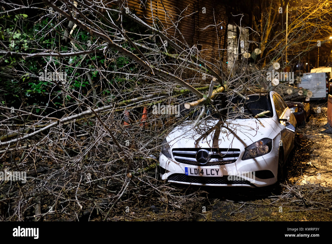 Car trees accident crushed hi-res stock photography and images - Alamy
