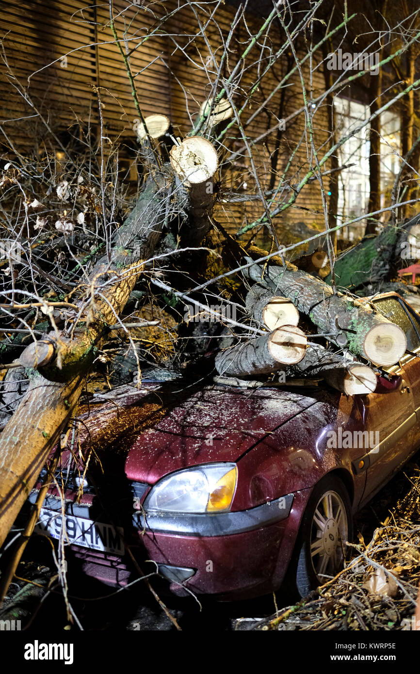 Car trees accident crushed hi-res stock photography and images - Alamy