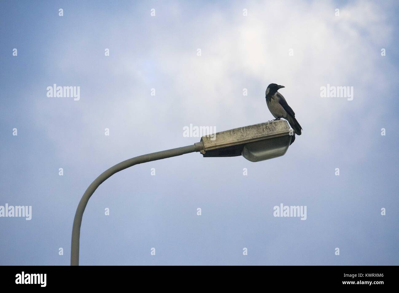 Poznan, Wielkopolska, Poland. 5th Jan, 2018. January 5, 2018 - Poznan ...