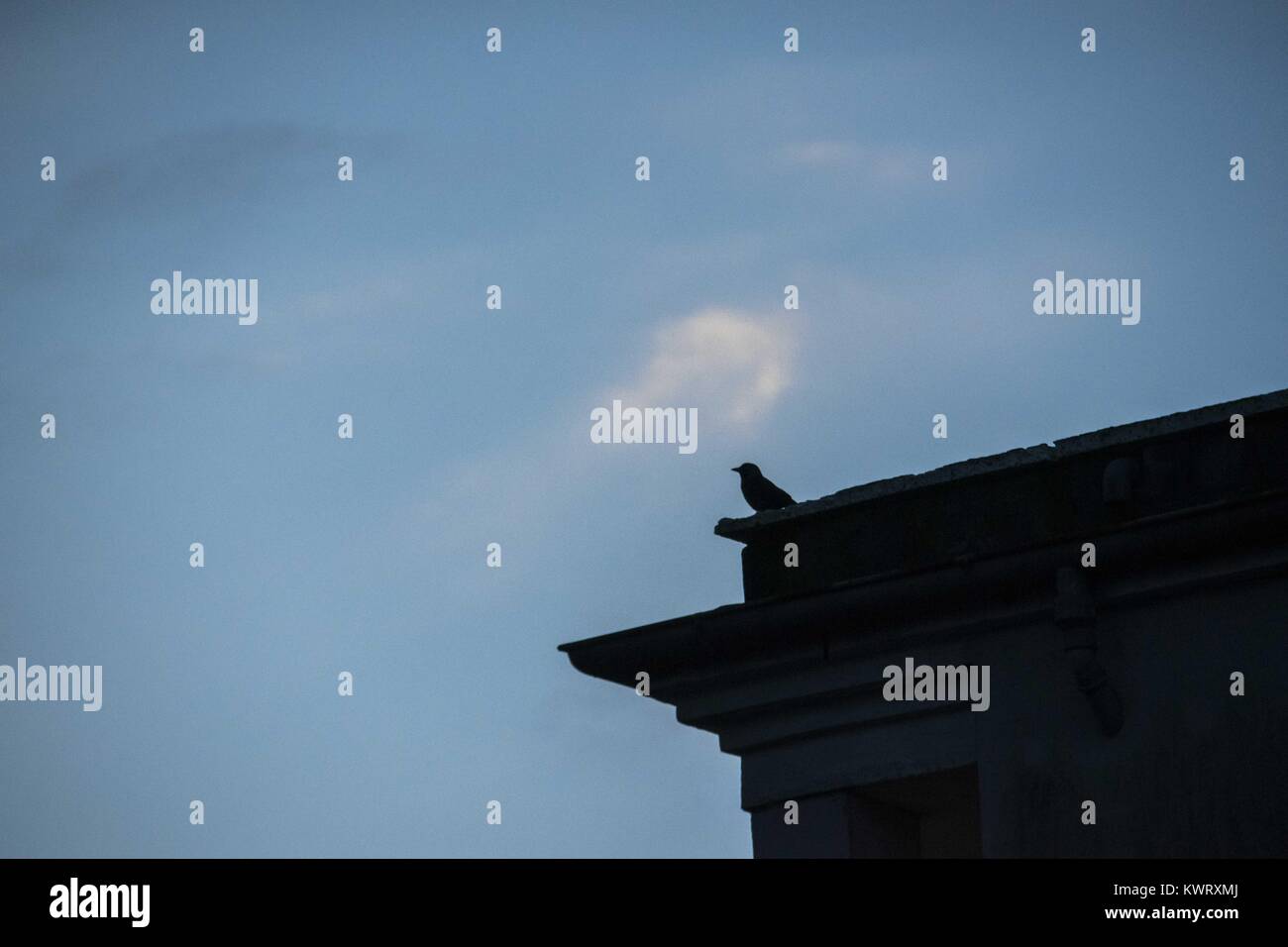 Poznan, Wielkopolska, Poland. 5th Jan, 2018. January 5, 2018 - Poznan ...