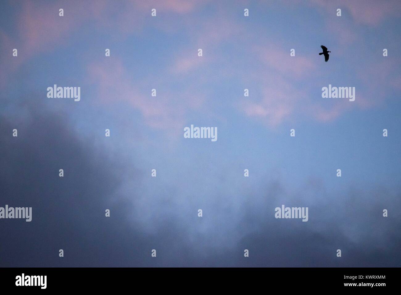 Poznan, Wielkopolska, Poland. 5th Jan, 2018. January 5, 2018 - Poznan ...