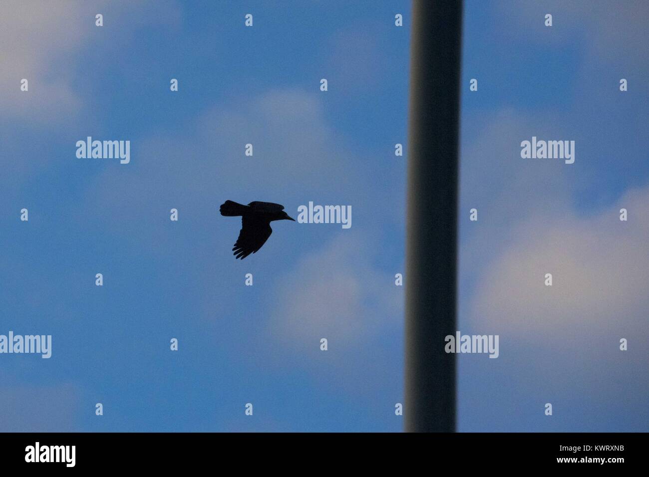 Poznan, Wielkopolska, Poland. 5th Jan, 2018. January 5, 2018 - Poznan ...