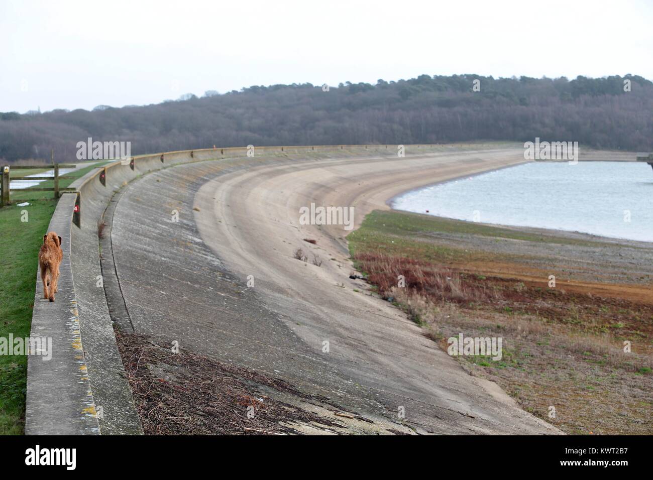 Bewl water southern hi-res stock photography and images - Alamy