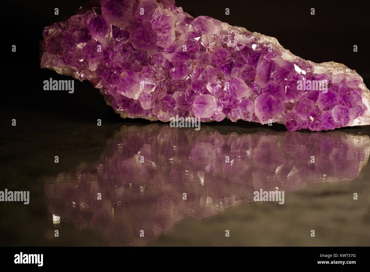 Crystal Violet High Resolution Stock Photography and Images - Alamy