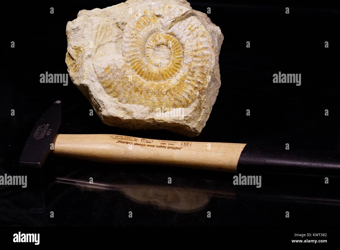 Ammonites and a Geological Hammer. Fossil Hunting on South Britain's ...