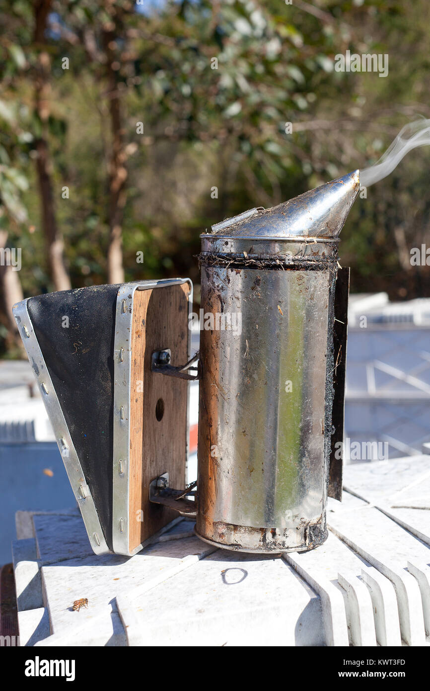 Beekeeper's smoke gun Stock Photo - Alamy