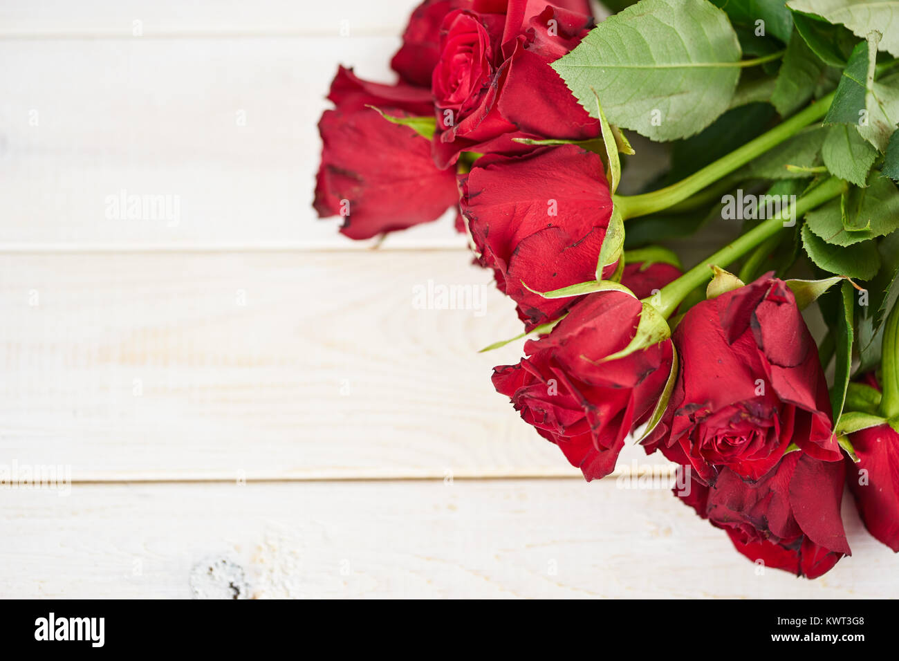 Red roses on white wood Stock Photo - Alamy