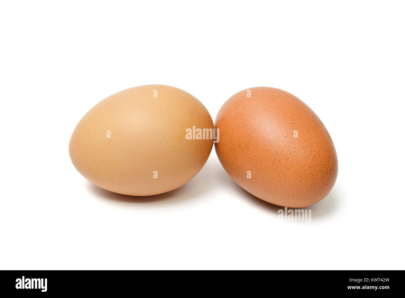 2 White Eggs