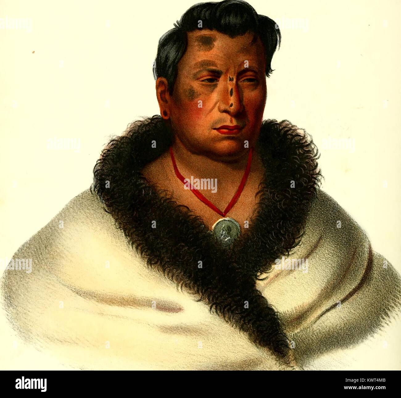 Native american chief hi-res stock photography and images - Alamy