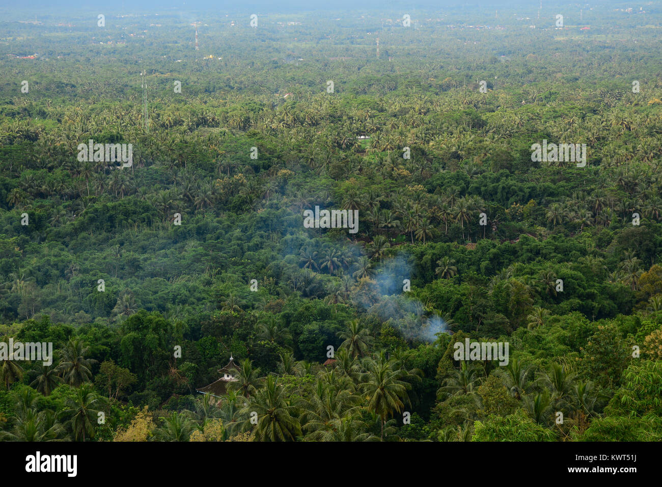 Aerial view of green forest in Yogyakarta, Java Island, Indonesia Stock ...