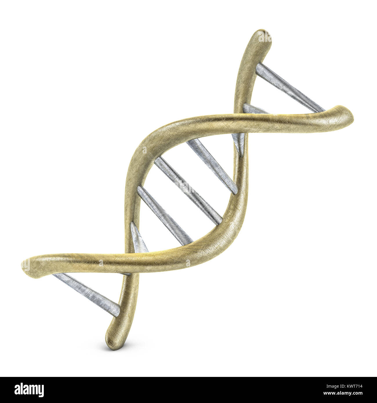 Protein research Cut Out Stock Images & Pictures - Alamy