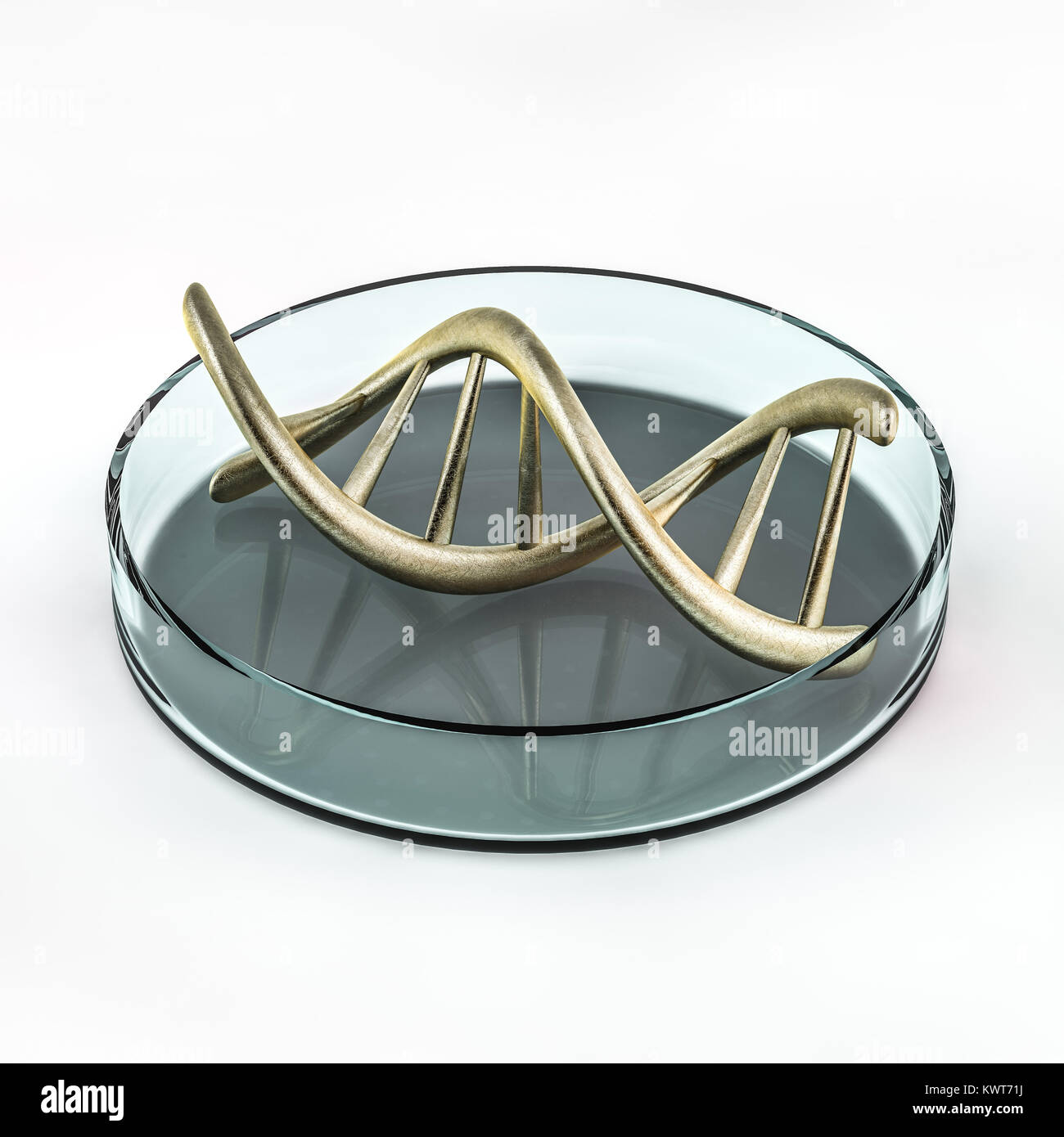 Standard of fragment of human DNA. 3D rendering Stock Photo - Alamy