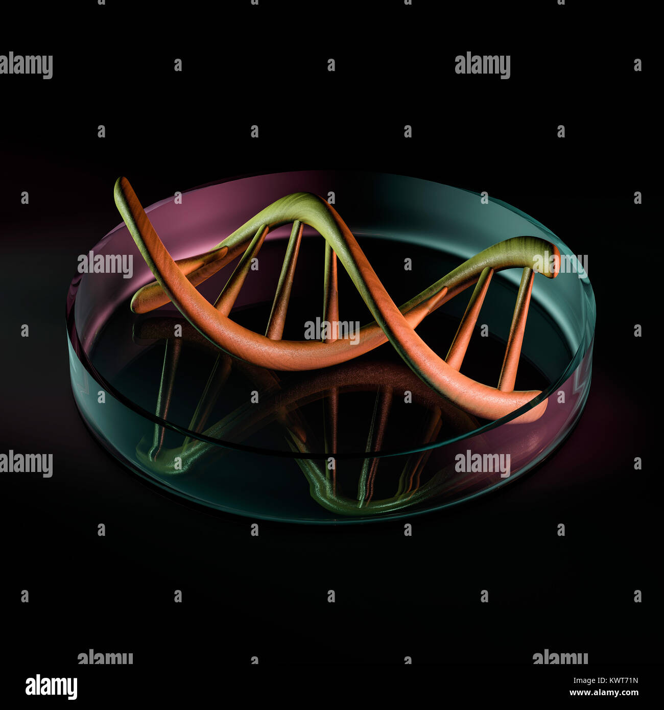 Standard of fragment of human DNA. 3D rendering Stock Photo - Alamy