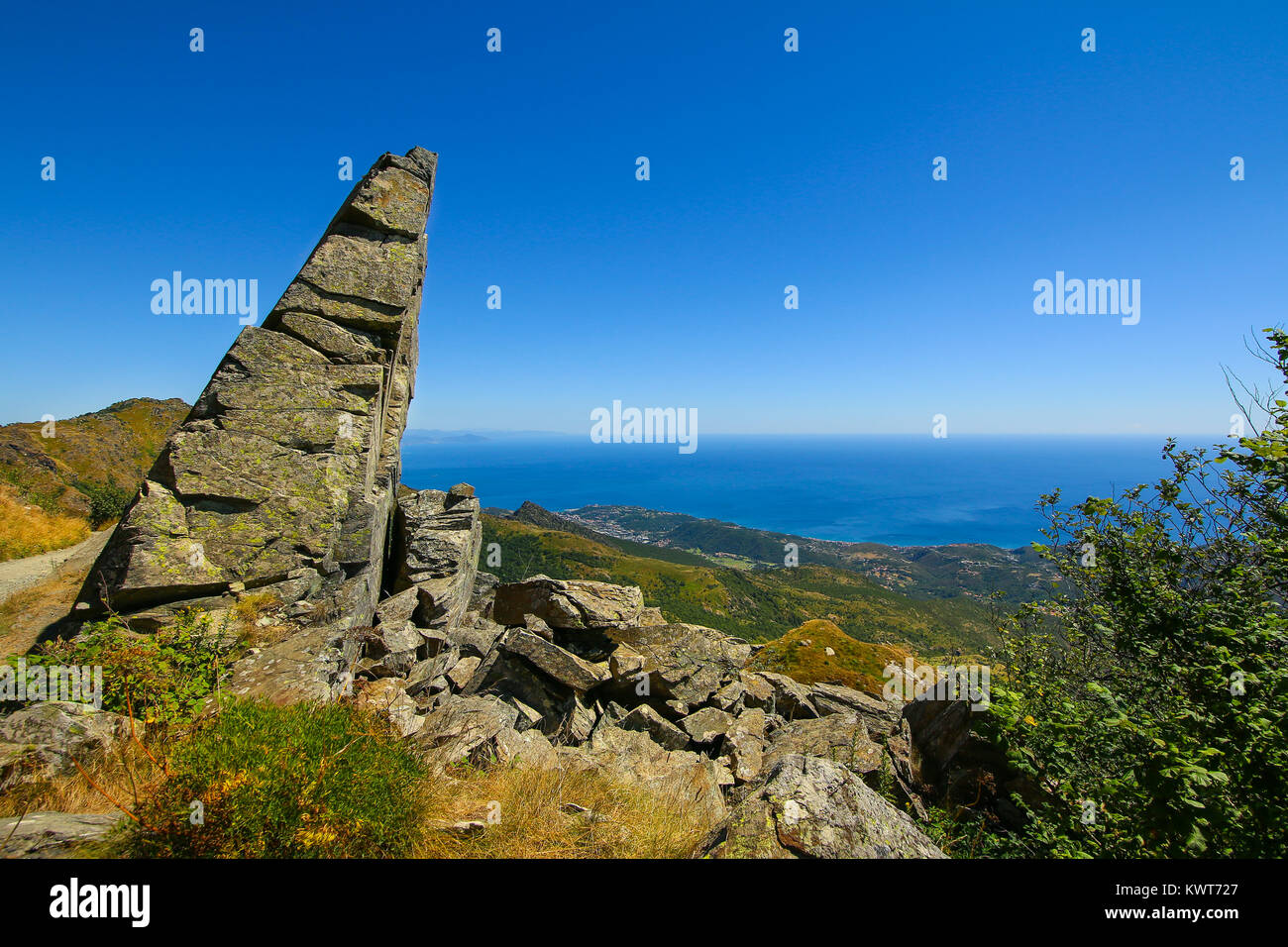 Triangular shaped tree hi-res stock photography and images - Alamy