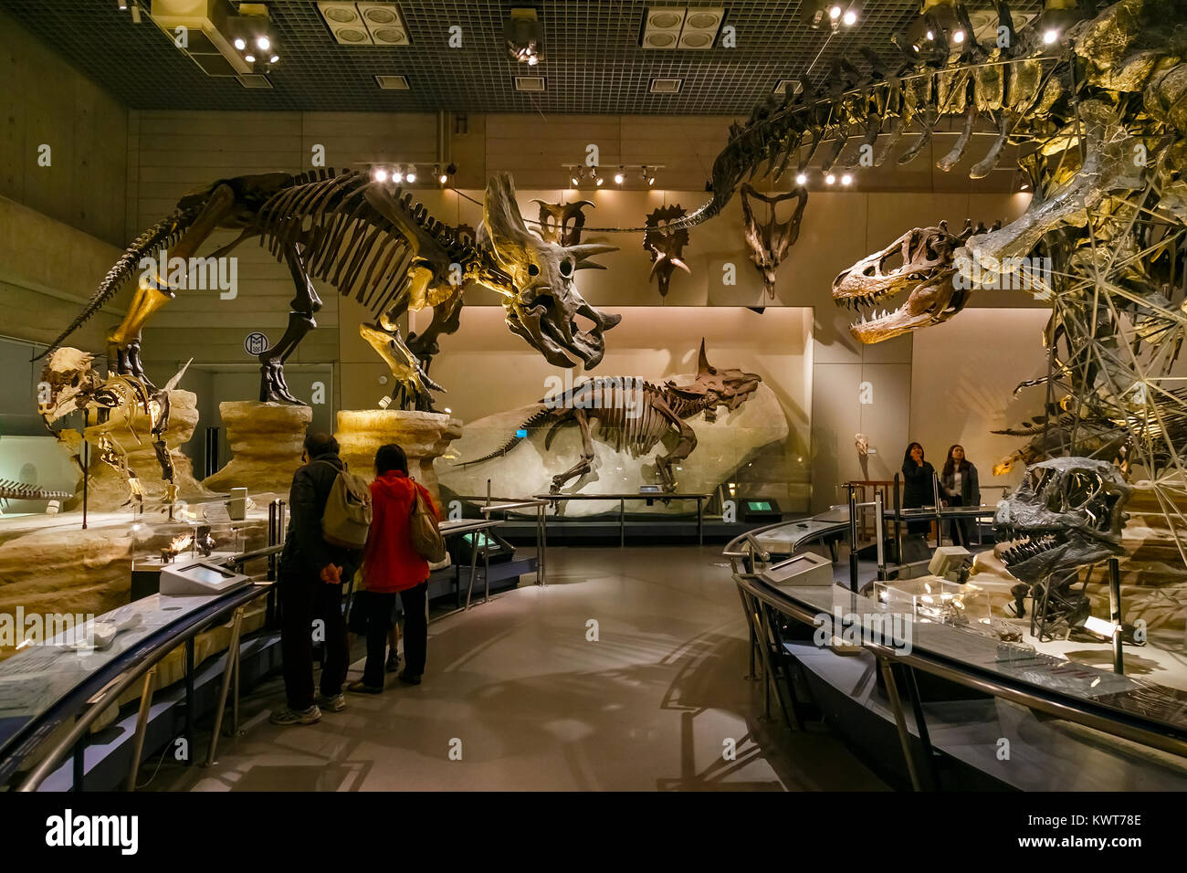 National Museum of Nature and Science offers a wide variety of natural ...