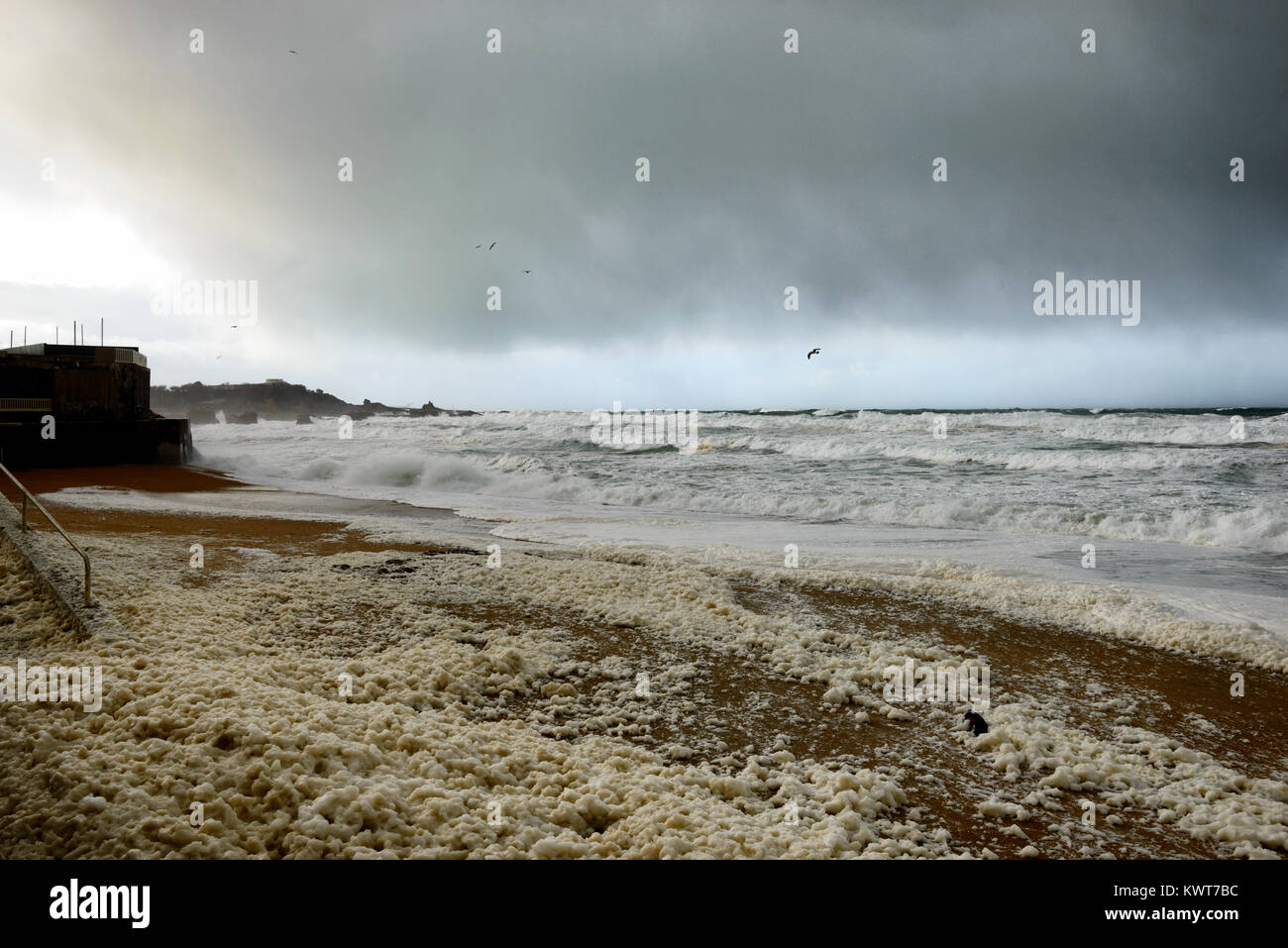 Water foarm hi-res stock photography and images - Alamy