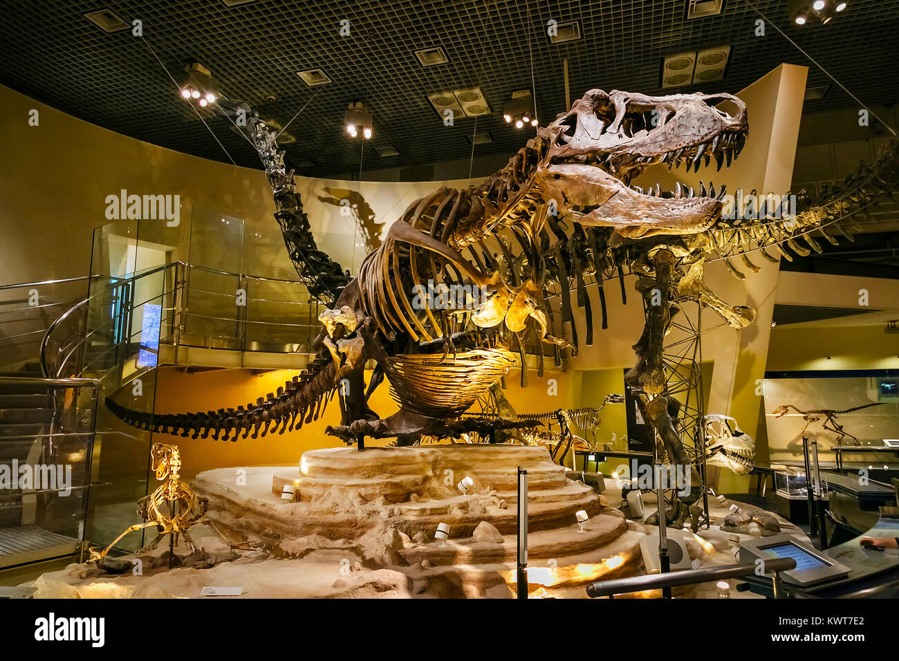 National Museum of Nature and Science offers a wide variety of natural ...