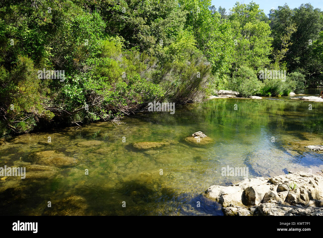River, rock and bush Stock Photo - Alamy
