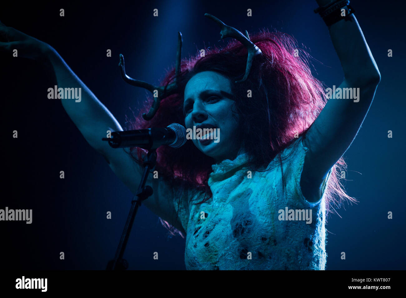 Elin kaven hi-res stock photography and images - Alamy