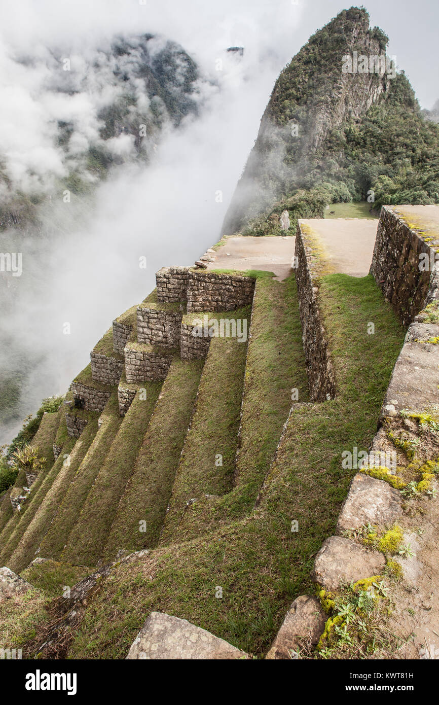 Steep terraces at the Historic Sanctuary of Machu Picchu, Peru Stock ...