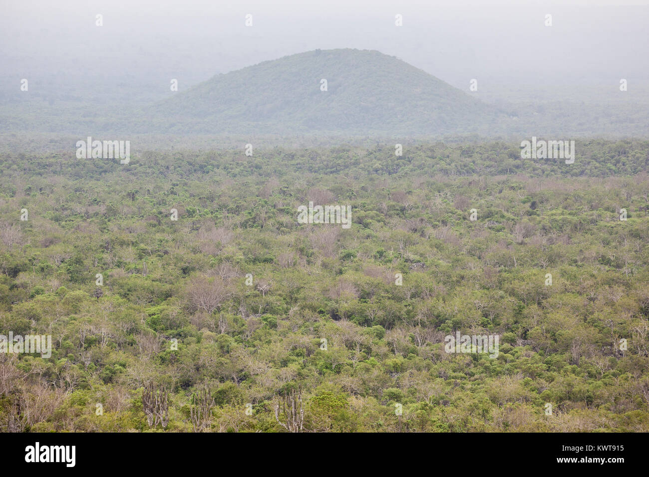 Isabela island mist hi-res stock photography and images - Alamy
