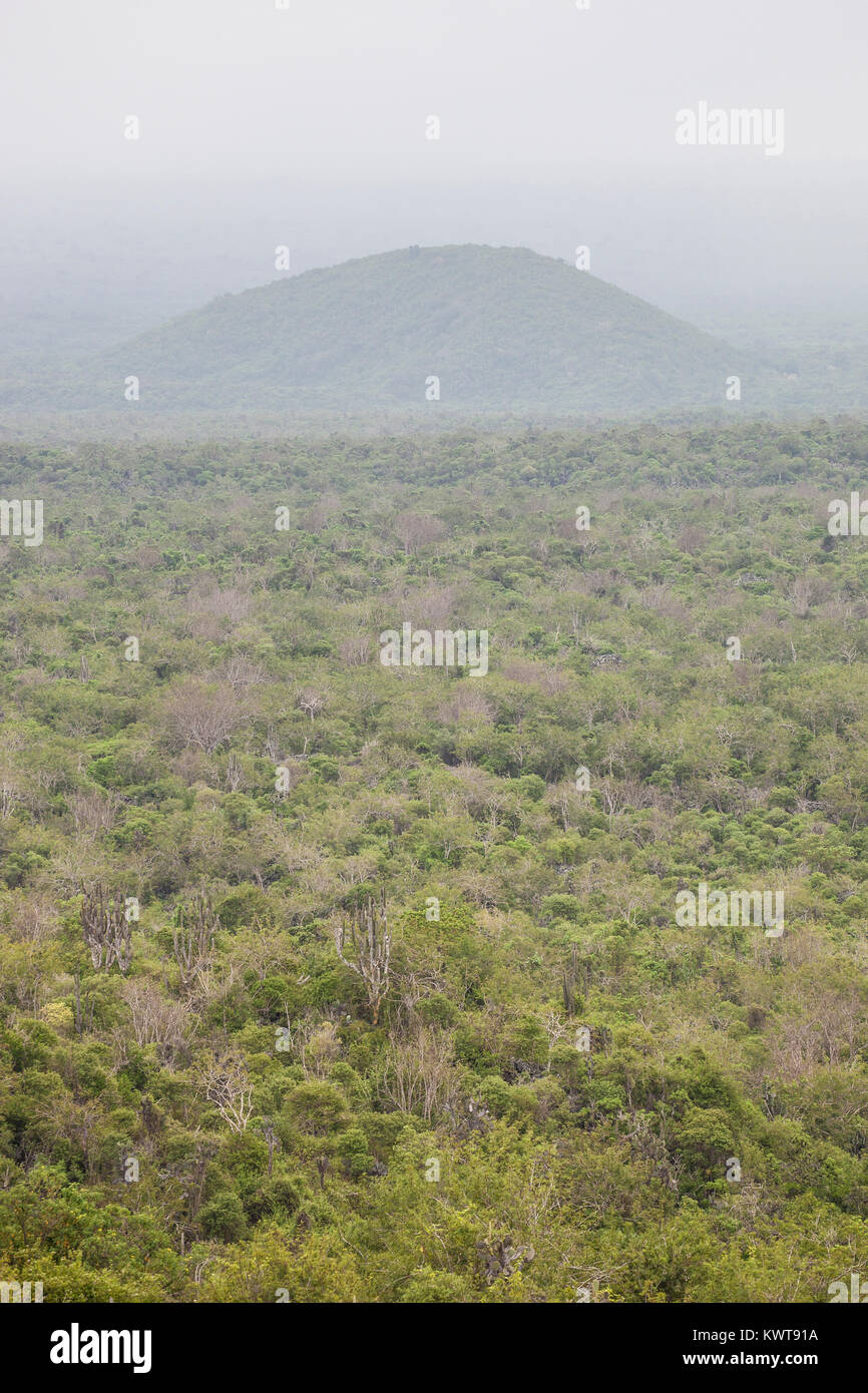 Isabela island mist hi-res stock photography and images - Alamy