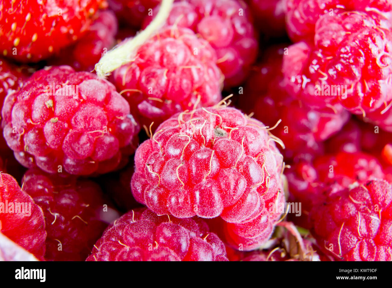 A lot of ripe berries. Fruit background Stock Photo - Alamy