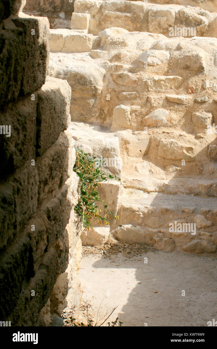 Syria, Aleppo, Damaskus, Umayyad, Castle, Mosques, Bazaar, Muslim ...