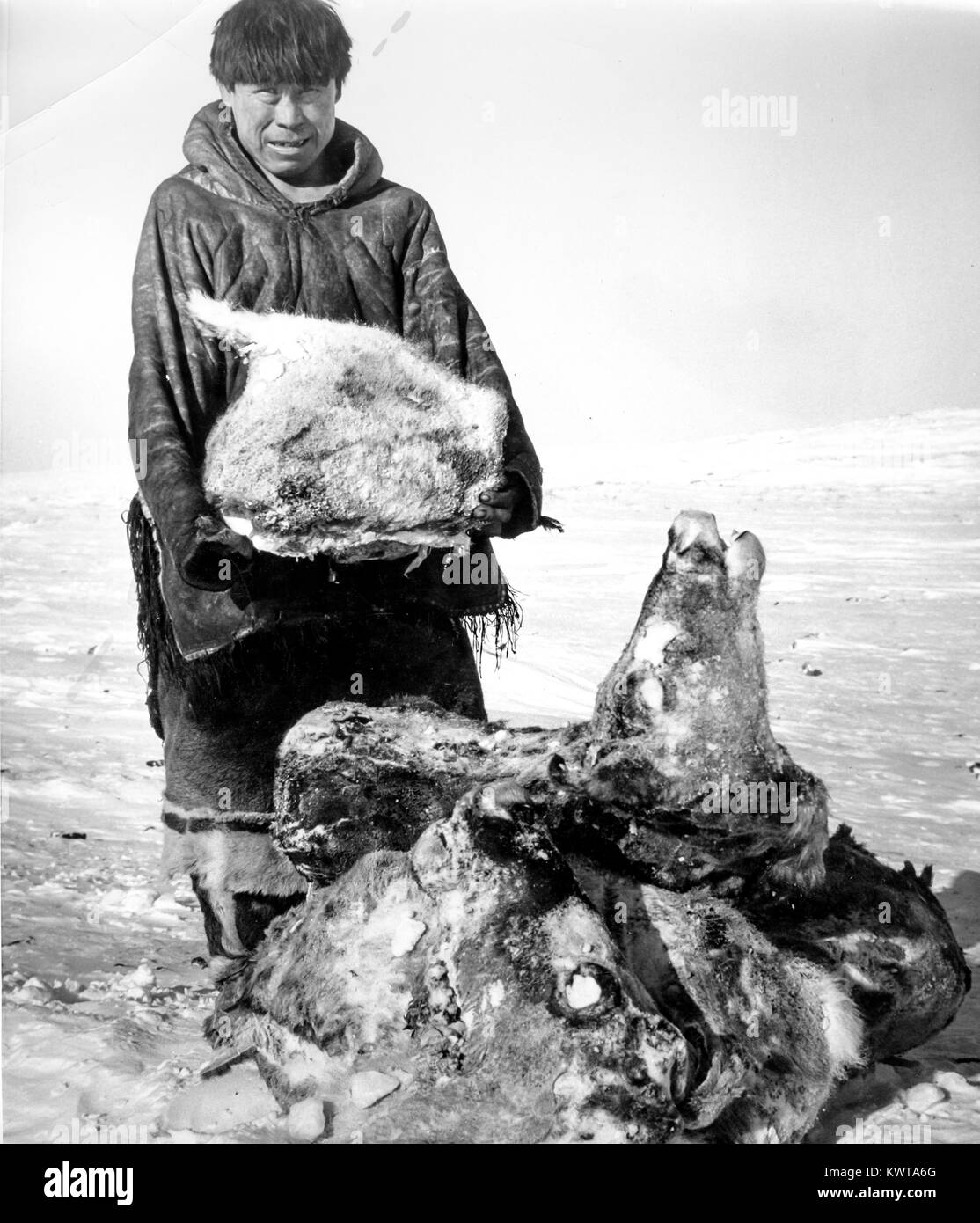 Eskimo after hunting Stock Photo - Alamy