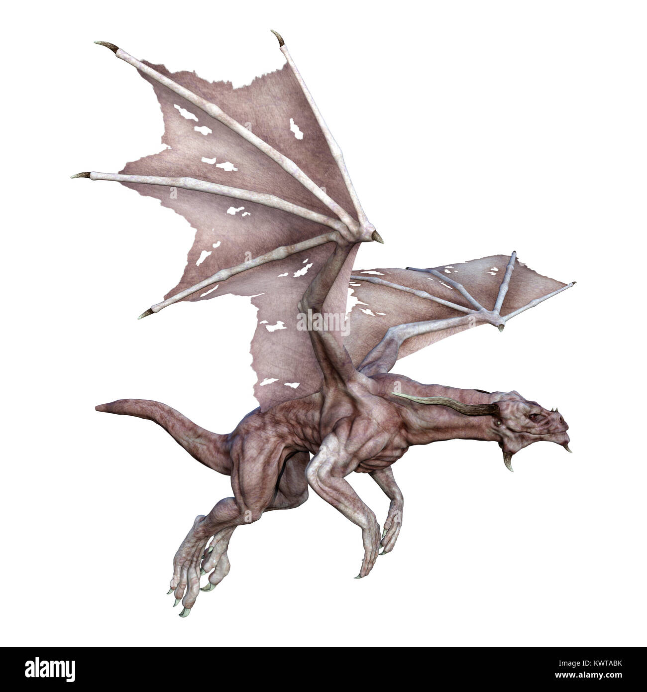 3D rendering of a fantasy vampire dragon isolated on white background ...